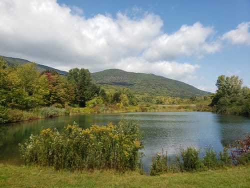 2023 Best Easy Trails in Mount Greylock State Reservation | AllTrails