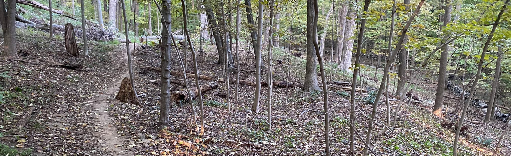 Clark Preserve Outer Loop: 25 Reviews, Map - New York | AllTrails