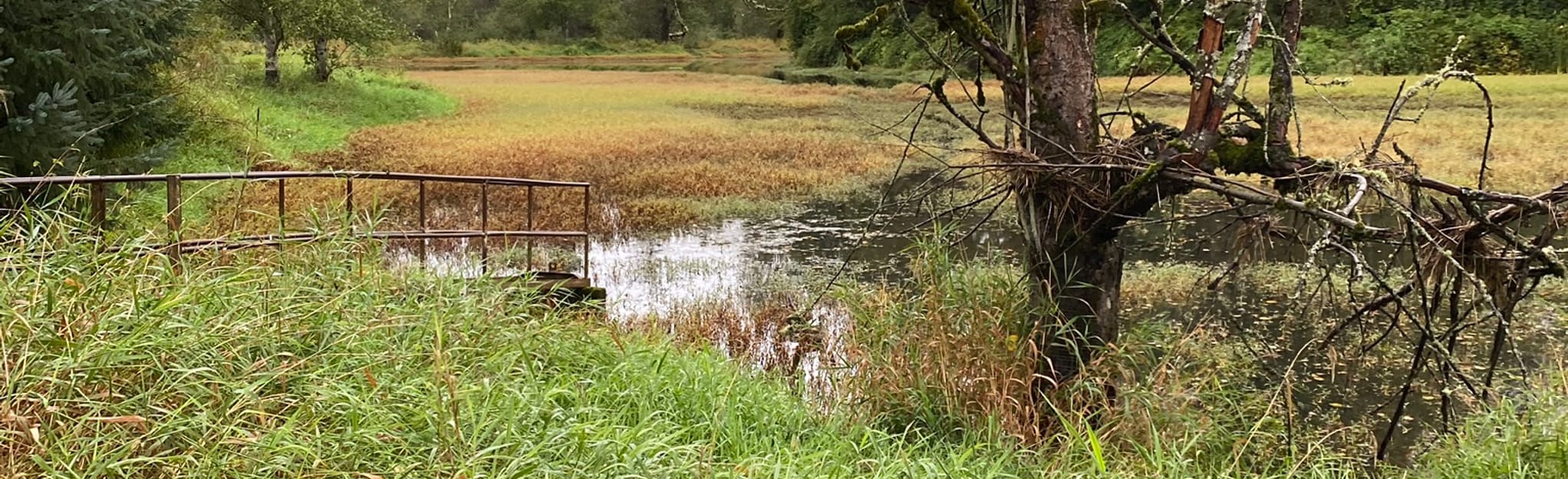 McMillan Lake, British Columbia, Canada - 22 Reviews, Map | AllTrails
