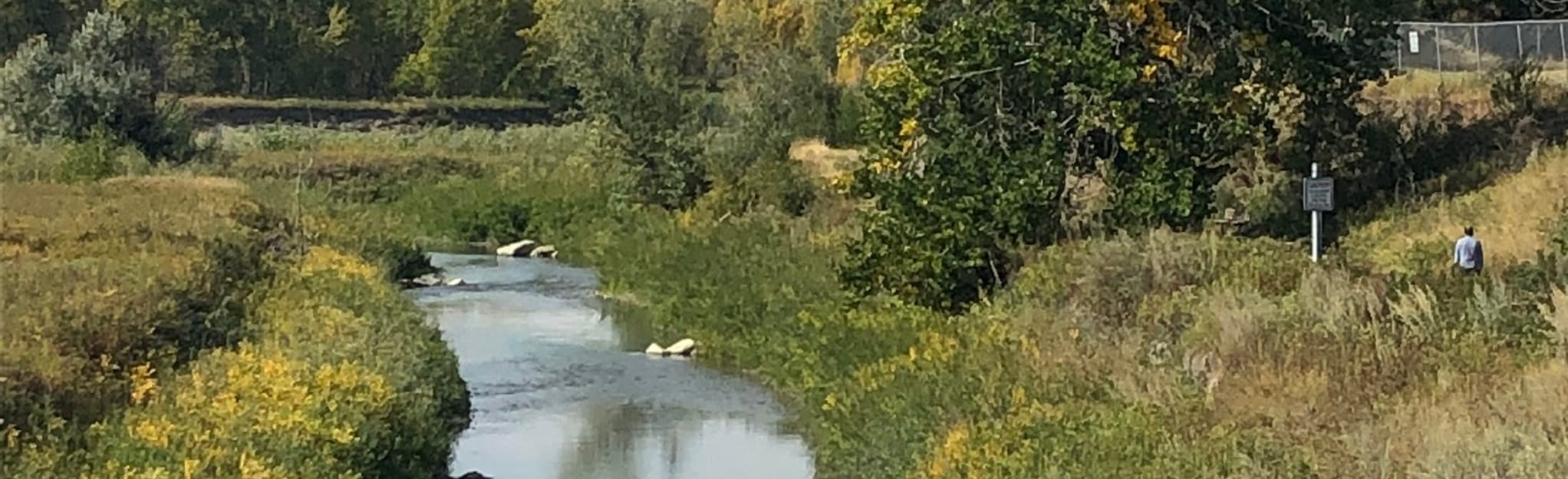 Gun Run Loop: 15 foto - Alberta, Canada | AllTrails