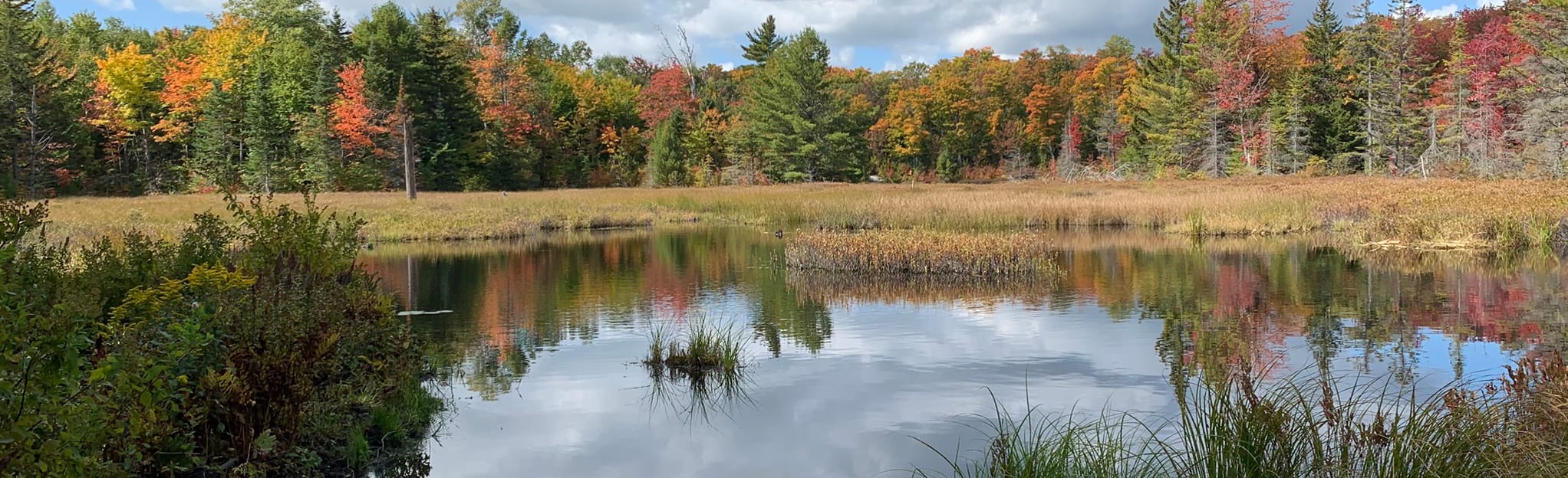 Champlain Lookout Loop über Wolf Trail: 1.184 Fotos - Québec, Kanada ...
