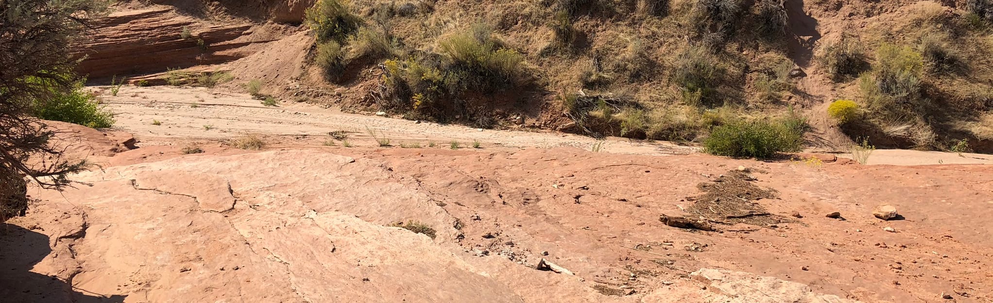Butler Wash Dinosaur Tracksite, Utah - 41 Reviews, Map | AllTrails