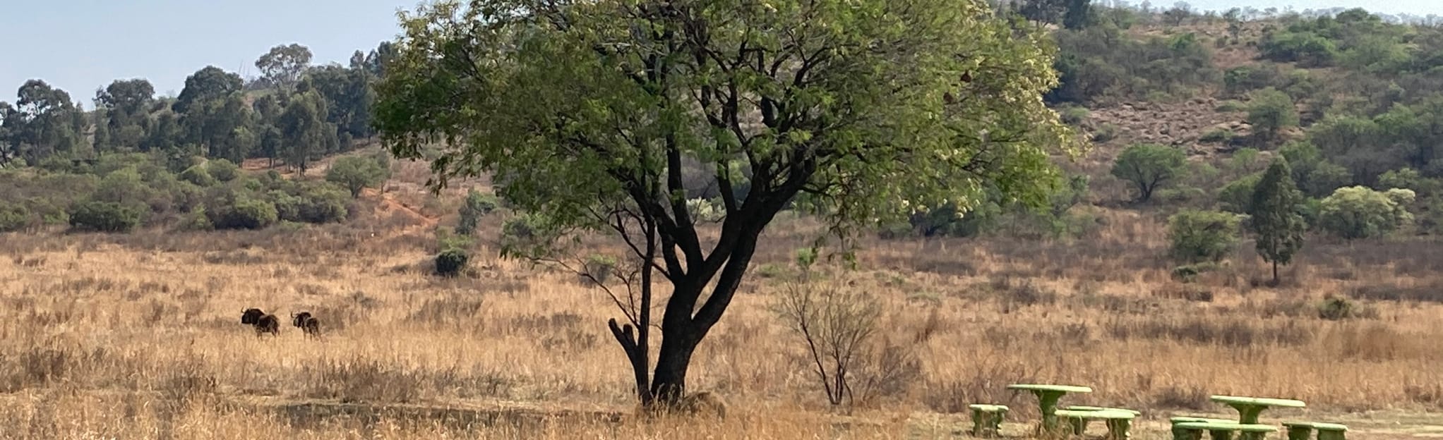 Zebra Trail, Gauteng, South Africa - Map, Guide | AllTrails