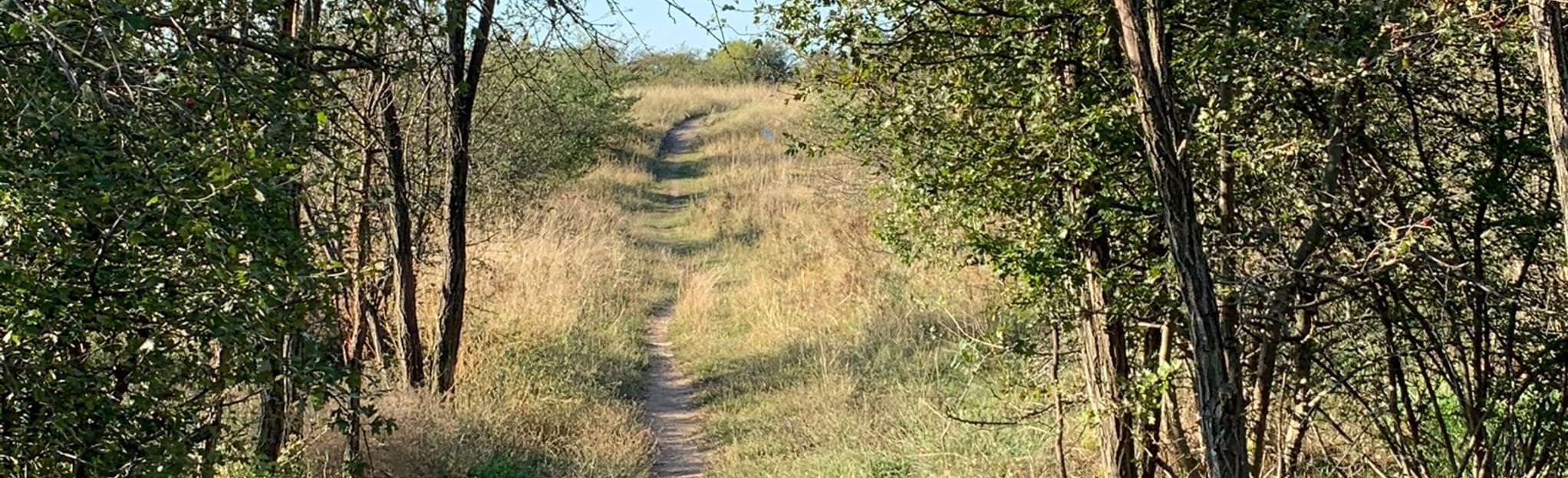 Fót Bath – Fóti Somlyó Nature Trail: 7 Reviews, Map - Pest, Hungary ...