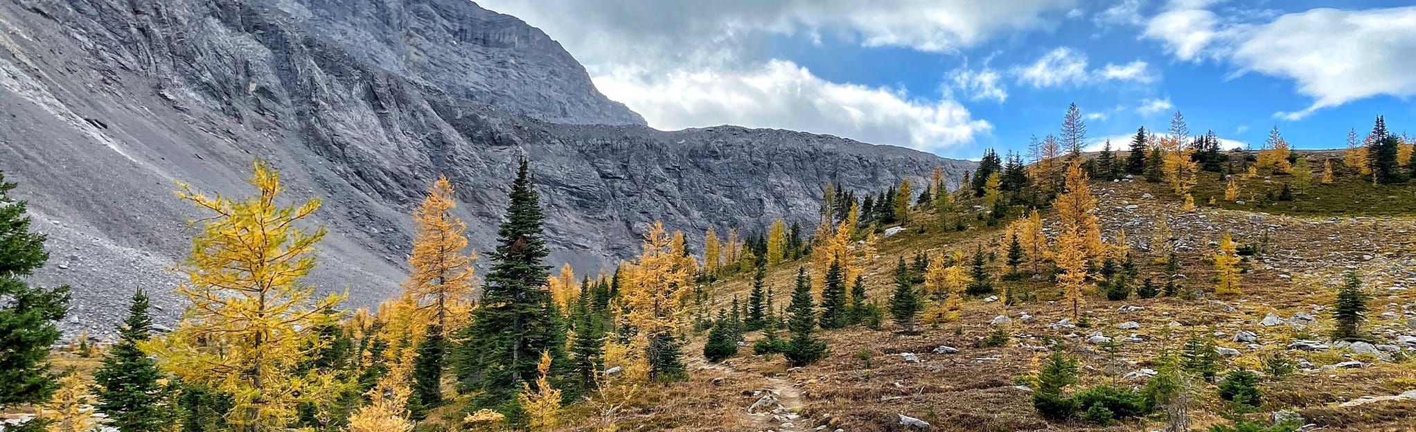 North and South Buller Pass Loop, Alberta, Canada - 118 Reviews, Map ...