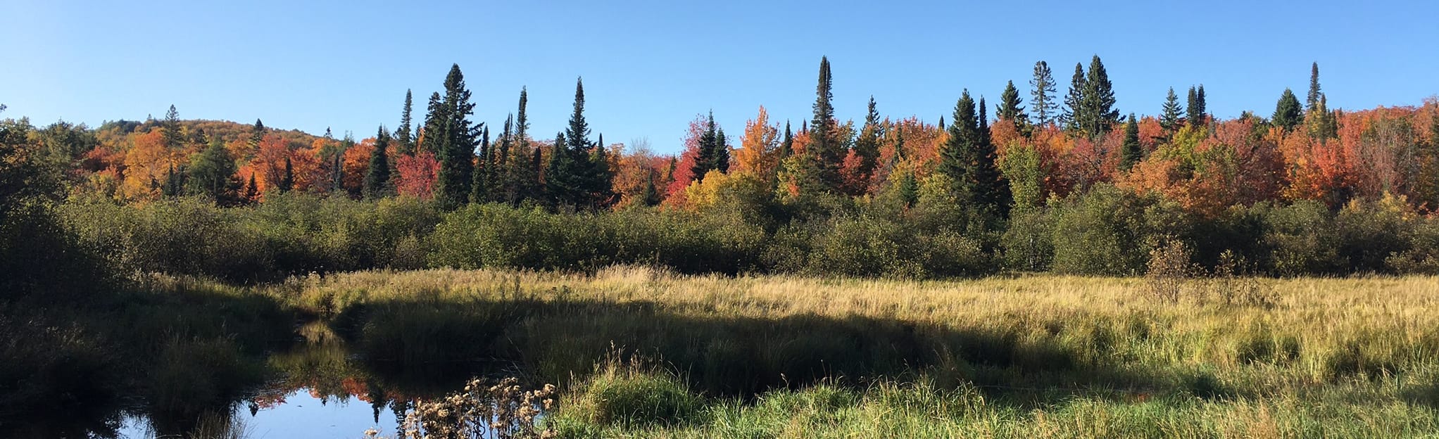 Mirror Lake via Little Carp River Trail , Michigan - 36 Reviews, Map ...