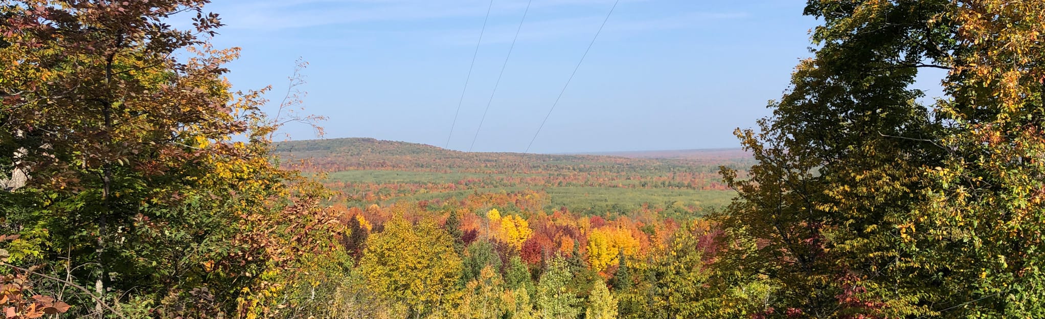 North Country Trail in Old Victoria, Michigan - 16 Reviews, Map | AllTrails