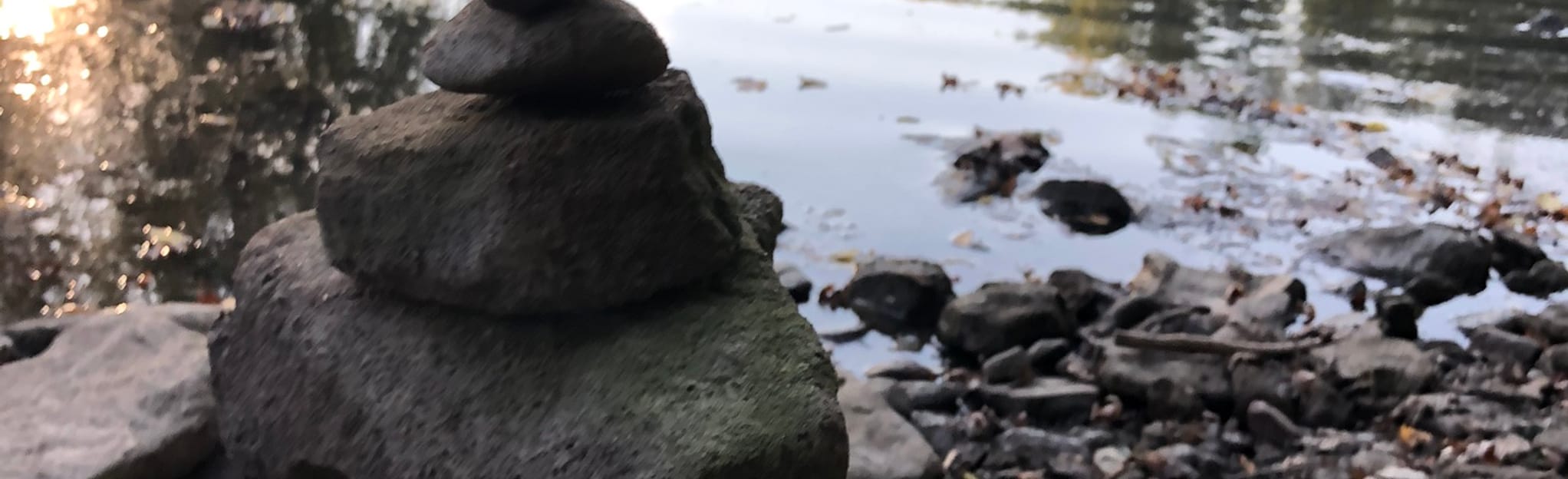 Wildcat Cave Trail: 39 Reviews, Map - Iowa | AllTrails