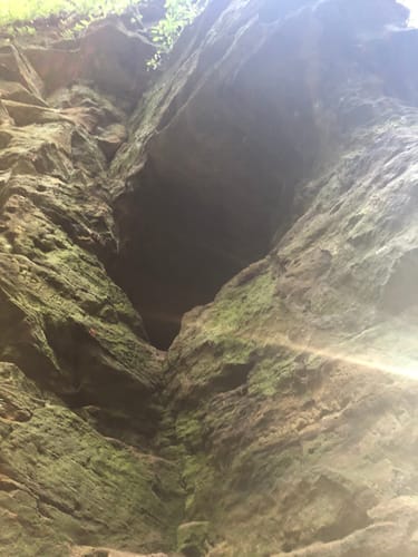 Best Hikes and Trails in Wildcat Cave Wildlife Management Area | AllTrails