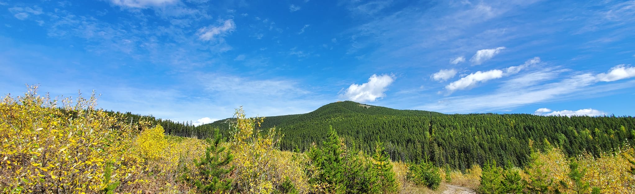 Marble Mountain Trail: 82 foto's - Alberta, Canada | AllTrails