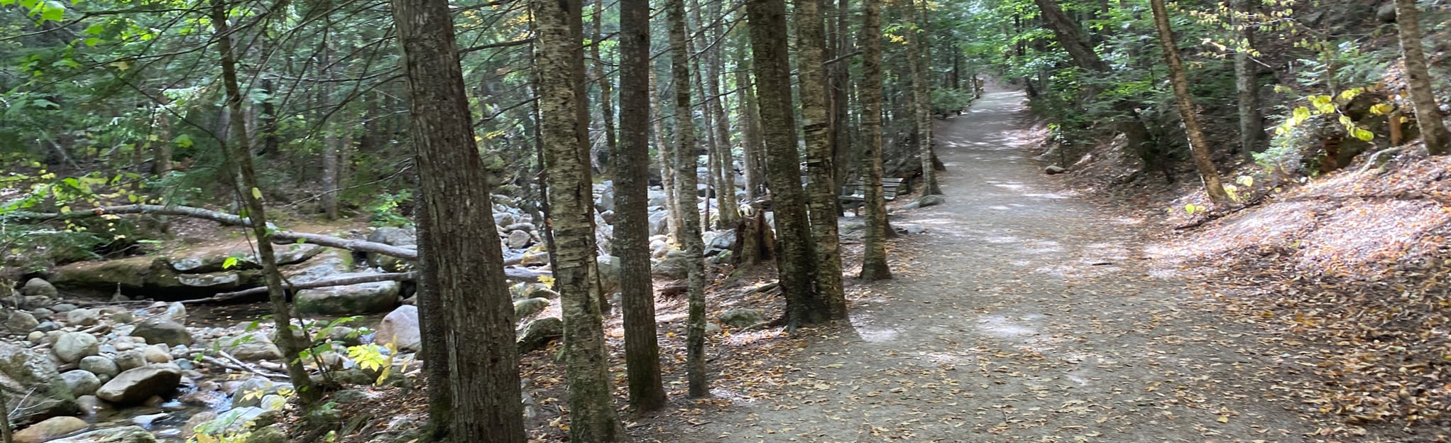Sandwich Range Loop, New Hampshire - 69 Reviews, Map | AllTrails