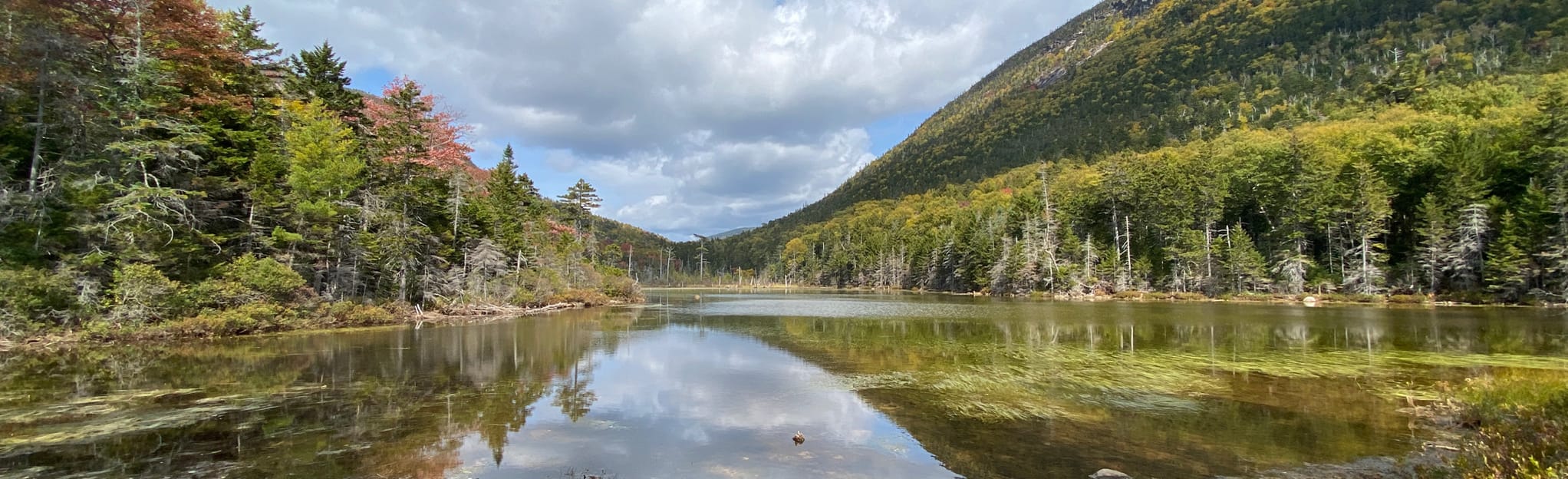 Greeley Ponds Trail, New Hampshire - 174 Reviews, Map | AllTrails