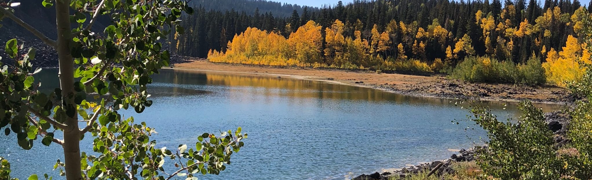 Mesa Lakes Trail, Colorado - 307 Reviews, Map | AllTrails