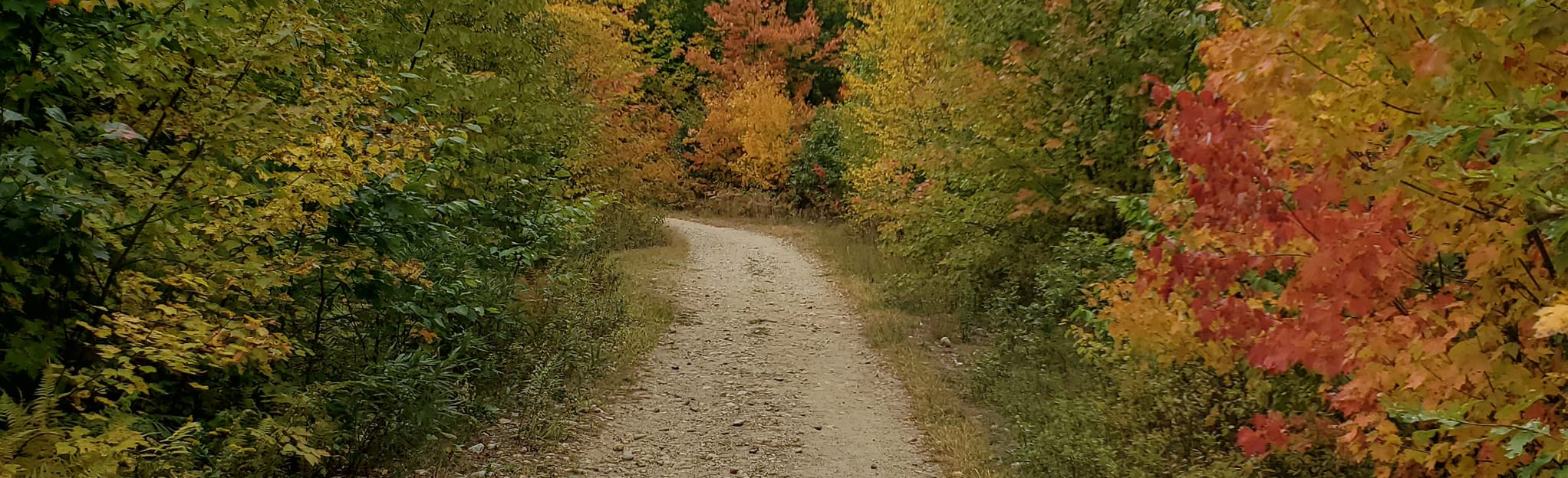 Catamount Hill via Bear Brook Upper Trail : 71 Reviews, Map - New ...