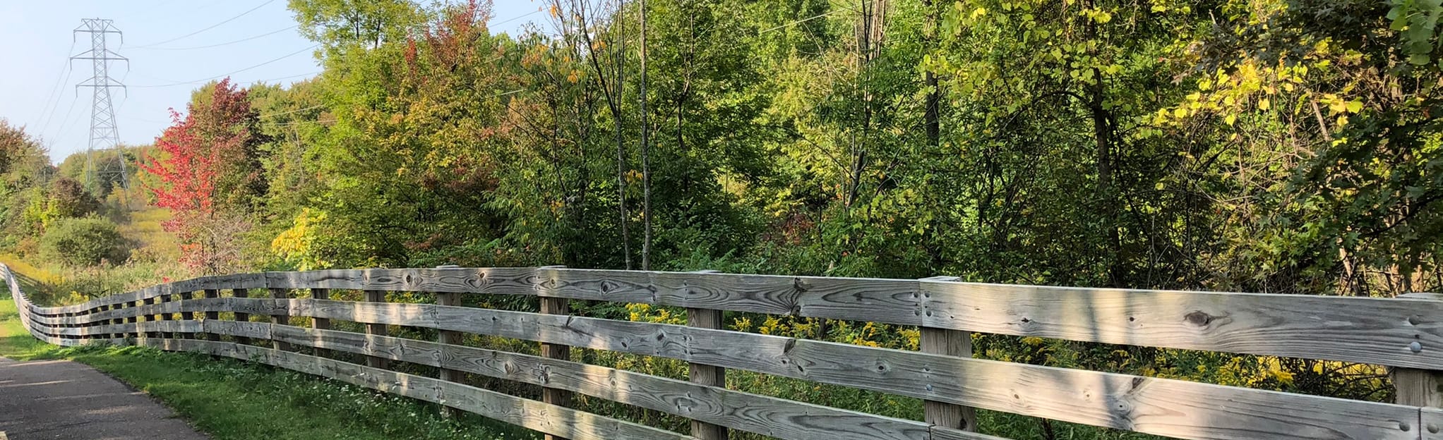 Maple Highlands Trail - North: 86 Reviews, Map - Ohio | AllTrails