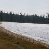 Riddle Lake Trail, Montana - 145 Reviews, Map | AllTrails