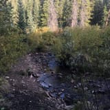 Rich Creek Trail, Colorado - 231 Reviews, Map | AllTrails