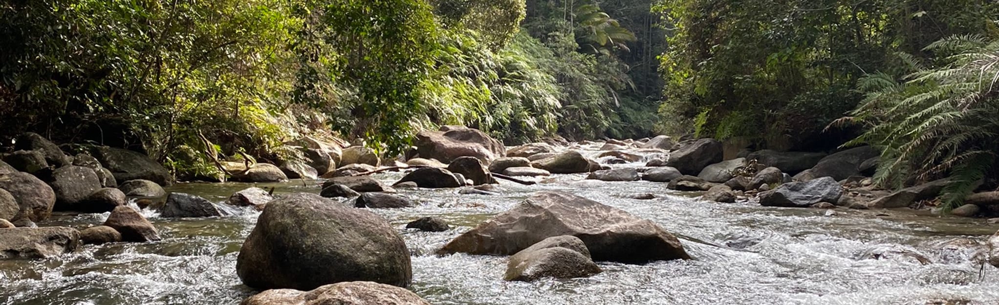 Chilling Waterfalls, Selangor, Malaysia - 73 Reviews, Map | AllTrails