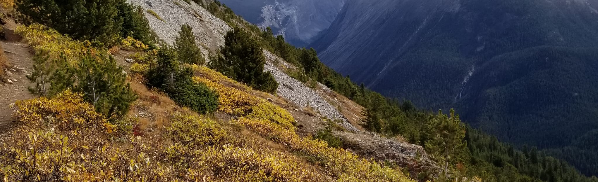 Parker Ridge West Peak Route: 0 Reviews, Map - Alberta, Canada | AllTrails