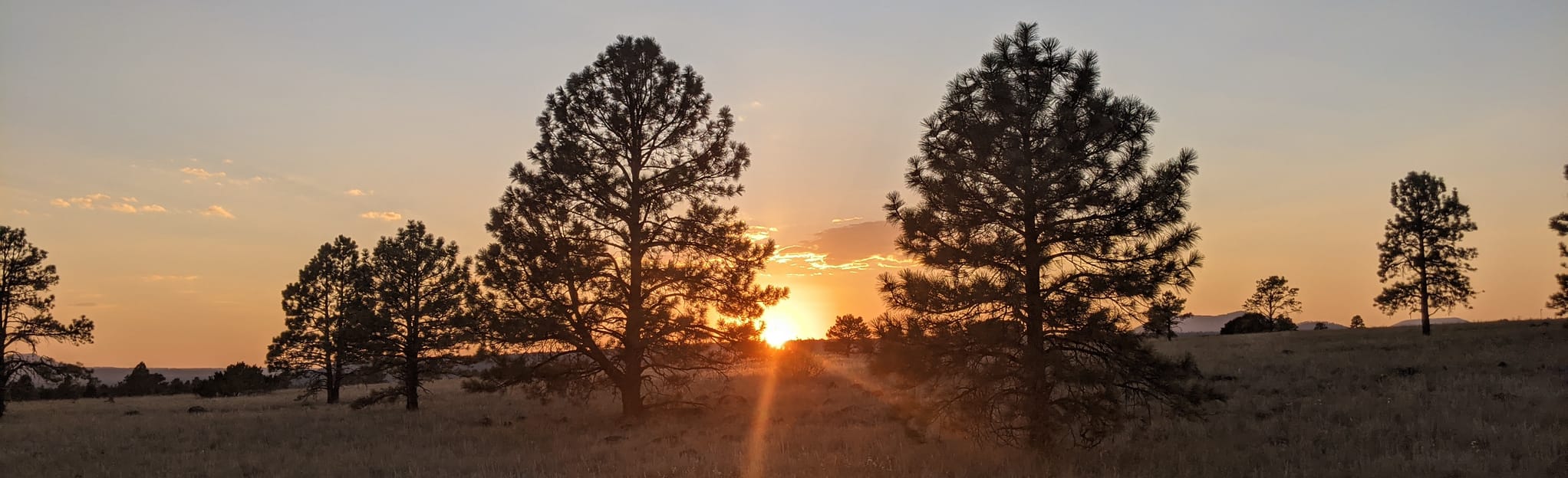 McMillan Mesa Loop, Arizona - 31 Reviews, Map | AllTrails