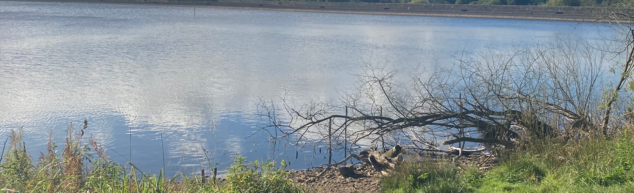Hollingworth, Wild Bank and Arnfield Reservoir Circular - Derbyshire ...