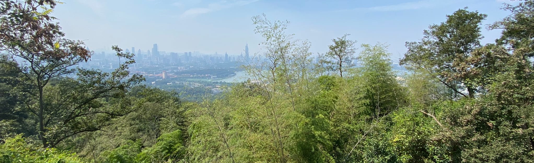 Purple Mountain Loop: 49 Fotos - Jiangsu, China | AllTrails