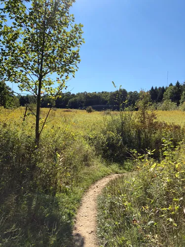 10 Best Trails and Hikes in Peninsula | AllTrails