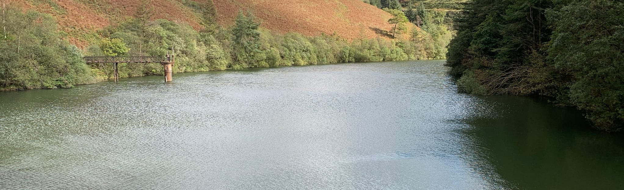Goytre Reservoir, Neath Port Talbot, Wales - 69 Reviews, Map | AllTrails