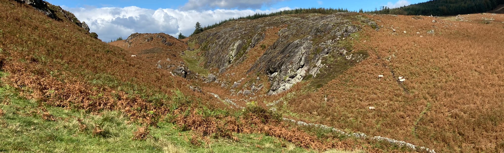 Lumpers Loop: 57 Reviews, Map - County Louth, Ireland | AllTrails