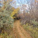 Buffalo Gap Campground Loop, North Dakota - 28 Reviews, Map | AllTrails