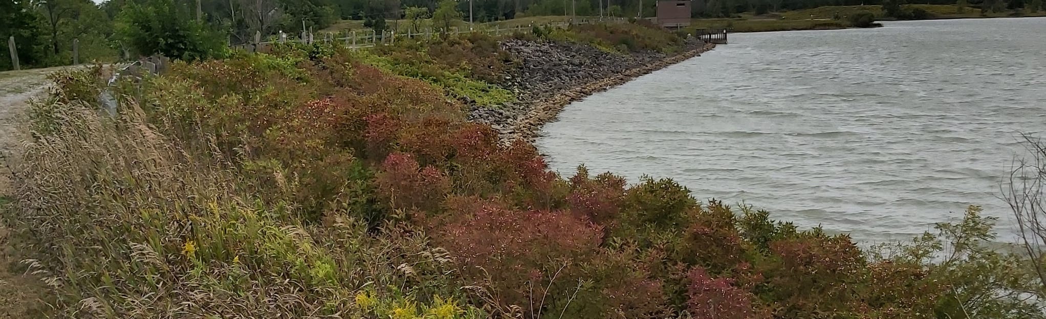 Lake Niapenco Trail: 32 Reviews, Map - Ontario, Canada | AllTrails