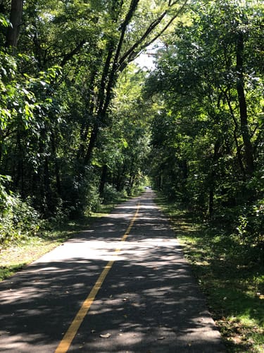 Best Hikes and Trails in Dan Ryan Woods | AllTrails