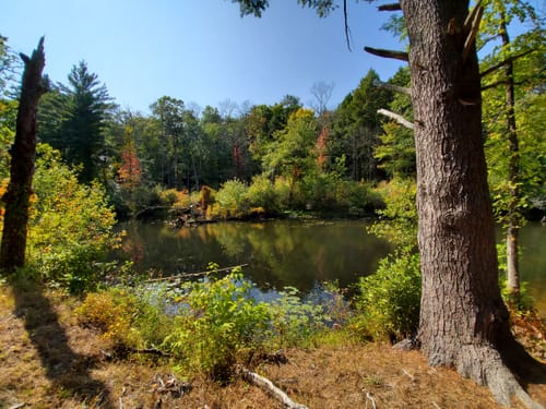 2023 Best trails in Bradley Palmer State Park | AllTrails