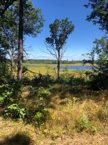 Best Hikes and Trails in Navarino State Wildlife Area | AllTrails