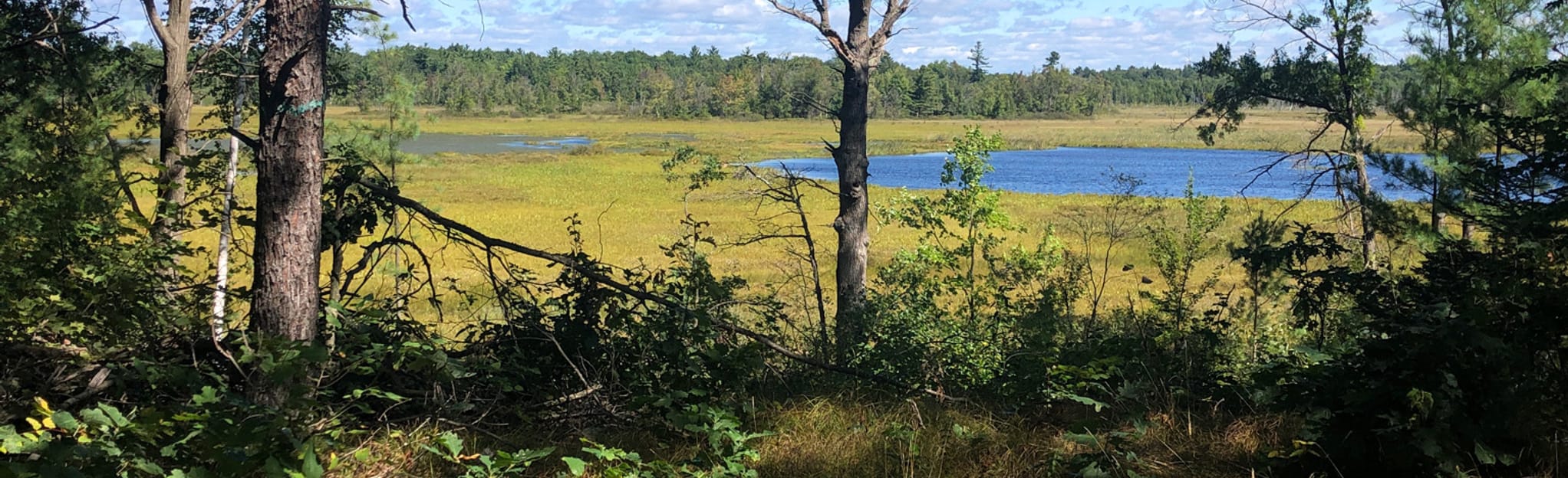 Navarino State Wildlife Area Red and Yellow Trail Loop, Wisconsin - 63 ...