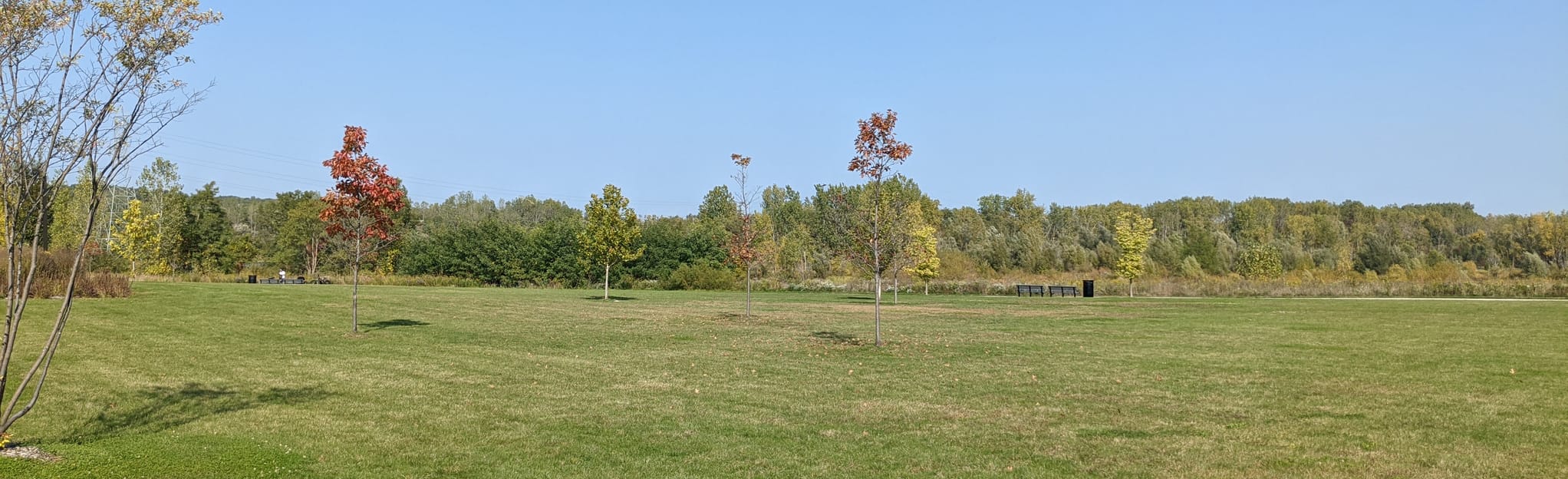 Millennium Blue Trail: 61 Reviews, Map - Michigan | AllTrails