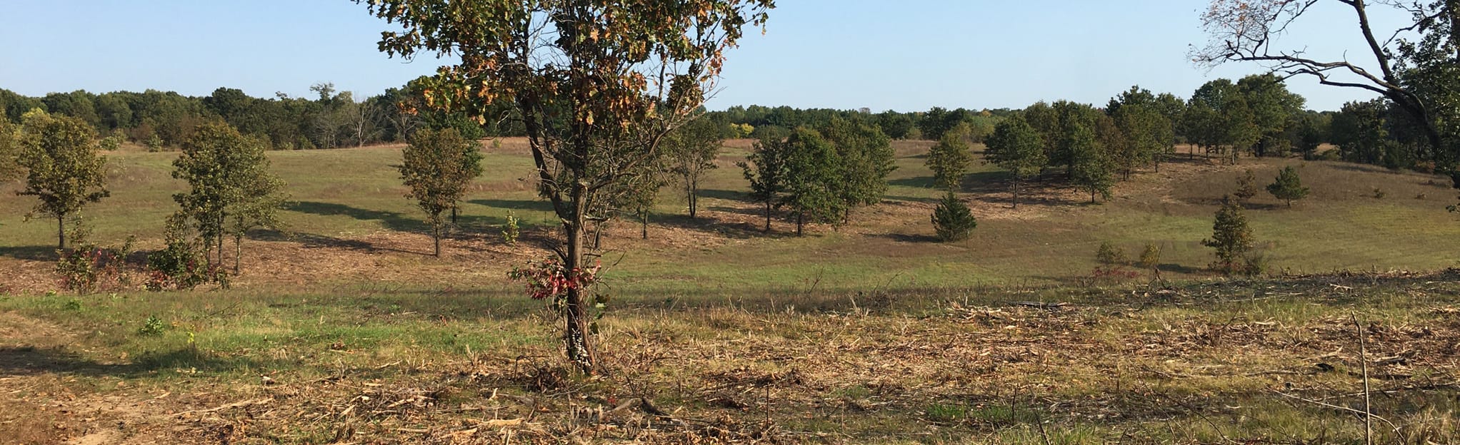 Prairie View Loop : 8 Photos - Wisconsin | Randonnée | AllTrails