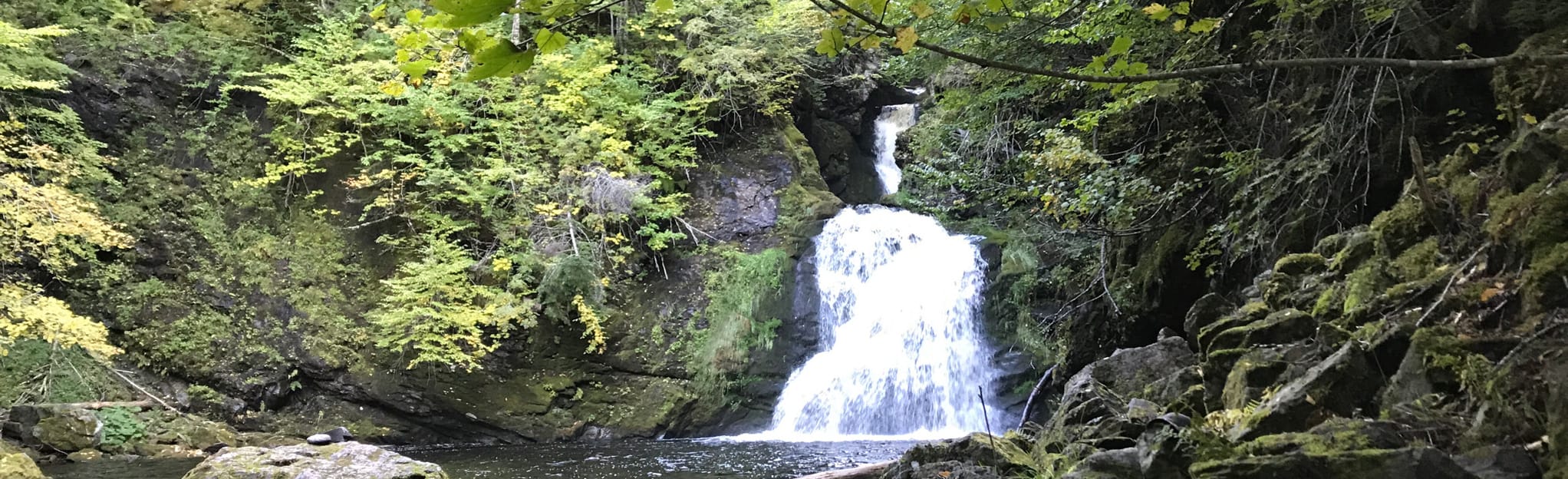 Gairloch Falls: 119 Fotos - Nova Scotia, Kanada | AllTrails