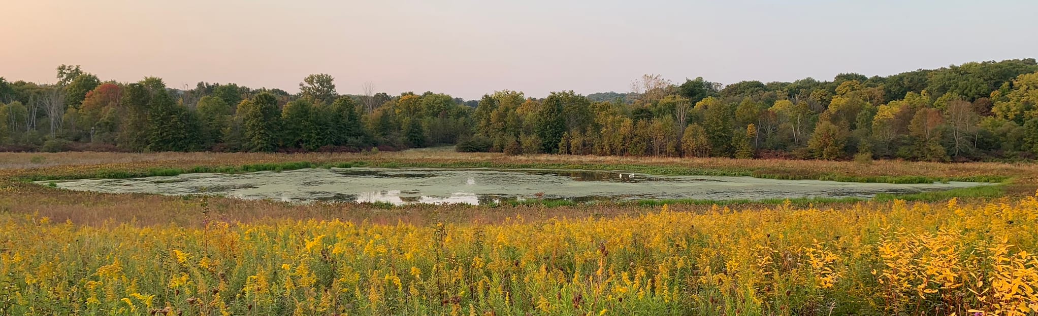 North Fork and Bridle Trail Loop: 262 Reviews, Map - Ohio | AllTrails