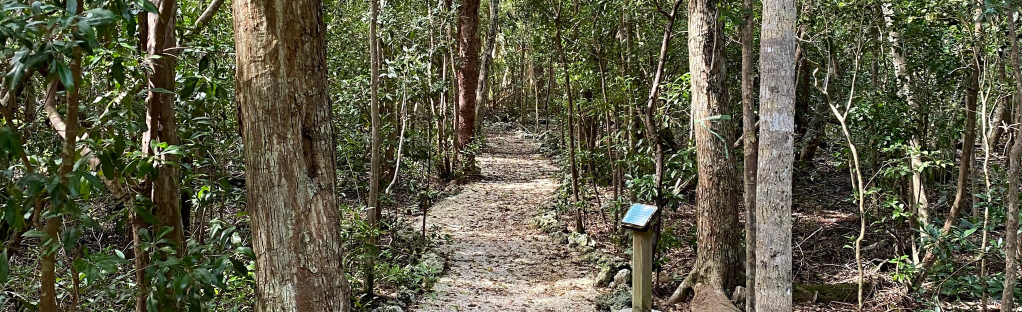 Wild Tamarind Trail, Florida - 196 Reviews, Map | AllTrails