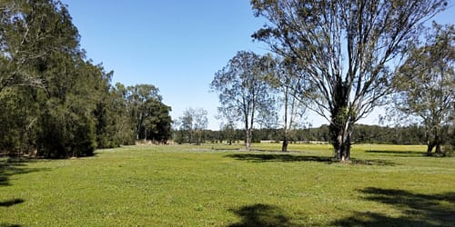 Best Hikes and Trails in Coombabah Lakelands Conservation Area | AllTrails