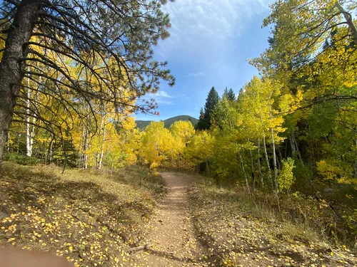 2023 Best 10 Long Trails in Black Hawk | AllTrails