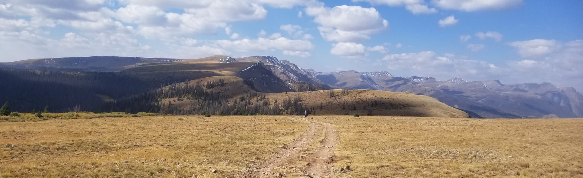 Colorado Trail : Segment 22: 37 Reviews, Map - Colorado | AllTrails