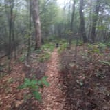 Jackson Trail, Pennsylvania - 196 Reviews, Map | AllTrails