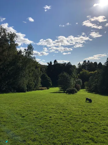 Best Hikes and Trails in Linn Park | AllTrails