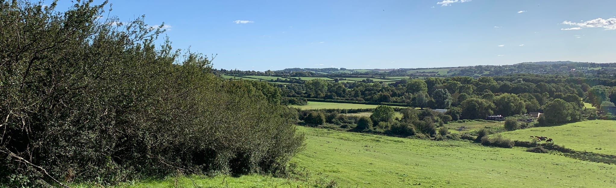 The Upton Inn and Upton Cheyney Circular: 188 foto's - Bristol ...