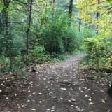 Old Quarry and Stony Swamp Trail Loop, Ontario, Canada - 270 Reviews ...