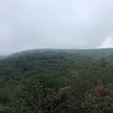 Pinhoti Trail: Adam's Gap to Cheaha State Park, Alabama - 133 Reviews ...