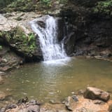 Avalon Loop Trail, Maryland - 293 Reviews, Map | AllTrails