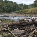 Avalon Loop Trail, Maryland - 293 Reviews, Map | AllTrails